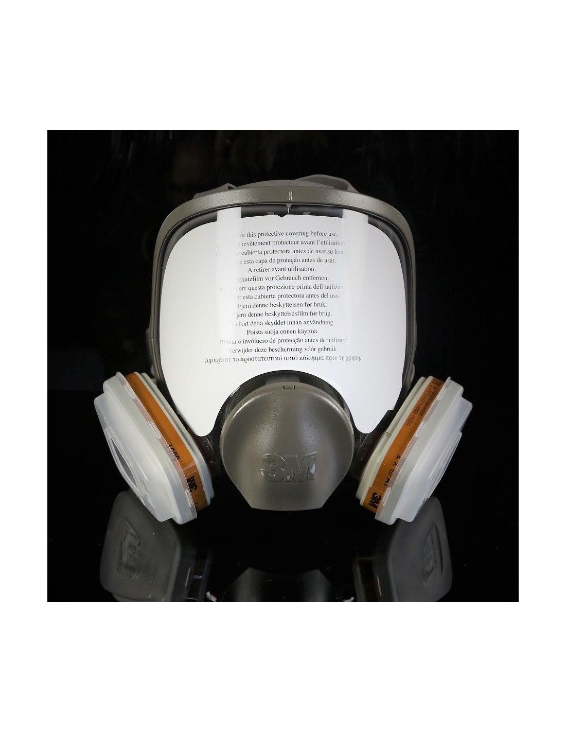 3M™ Full Face Mask